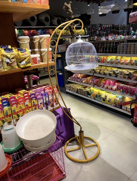 Mini Cat - Eye of Riyadh