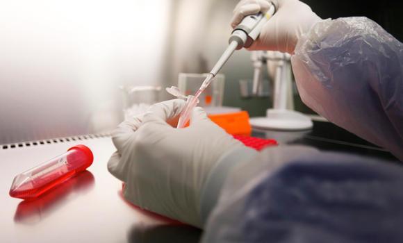 Saudi lab ranked ‘among the best’ - Eye of Riyadh