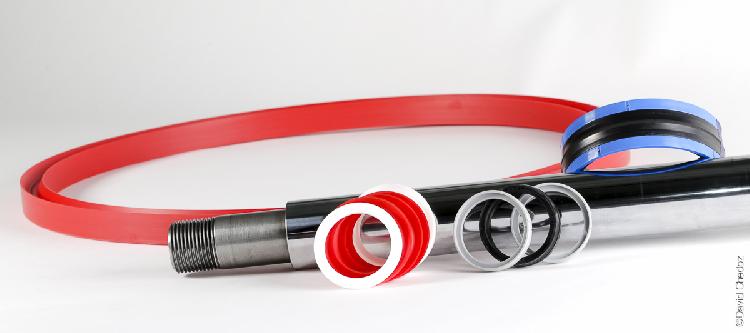 FASTRING wishes to strengthen its positioning in the United Arab ...