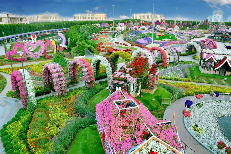 Dubai Miracle Garden all set to “bloom” ahead of a dramatic winter ...