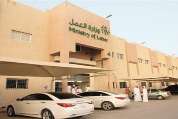 Private sector offers over 35,000 remote jobs annually: Ministry - Eye ...