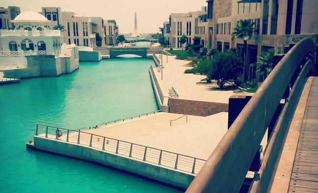 Saudi Arabia's KAUST ranked first among 50 leading universities ...