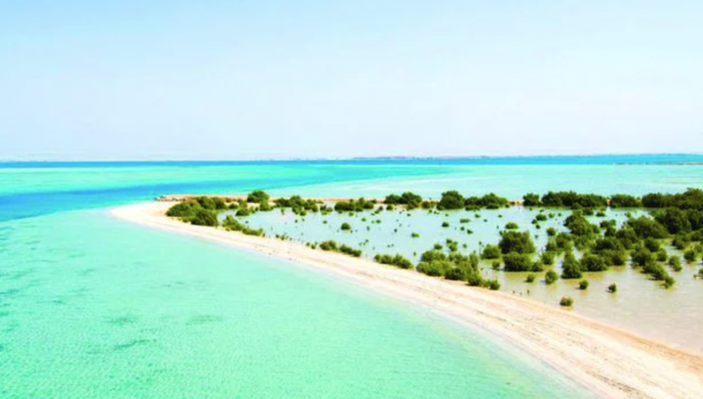 286 Saudi islands on offer for tourism investment in southern Jazan ...