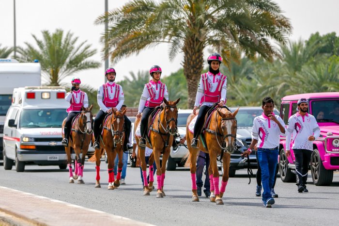 Pink Caravan Ride Delivers 1,750 Free Check-ups Leading to the End of ...