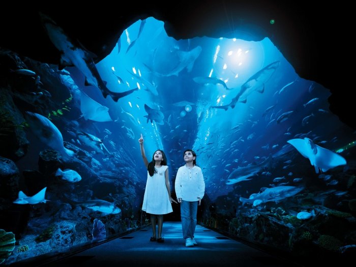 Emaar Entertainment adds to the delight of Address Hotels + Resorts ...