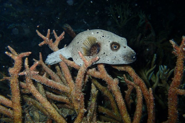 10To10 – Rannamaari Wreck’s 20th Anniversary - Eye of Riyadh