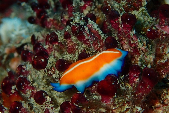 10To10 – Rannamaari Wreck’s 20th Anniversary - Eye of Riyadh