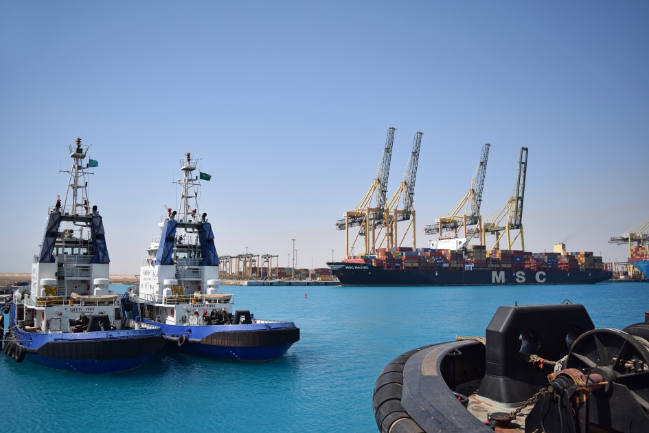 King Abdullah Port Receiving Containers With Food, Drug And Medical ...