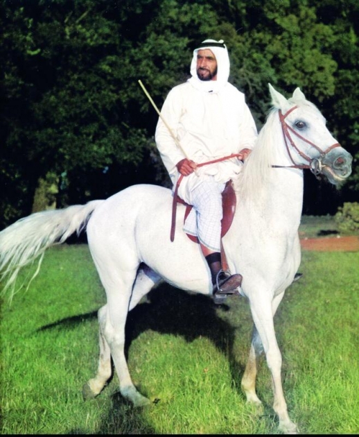 Bain Al Jisrain - Al Maqtaa to be renamed Rabdan after famous purebred ...