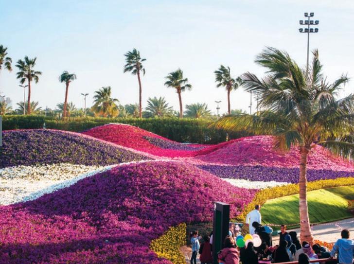 Why Yanbu on the Red Sea is fast becoming one of Saudi Arabia’s must ...