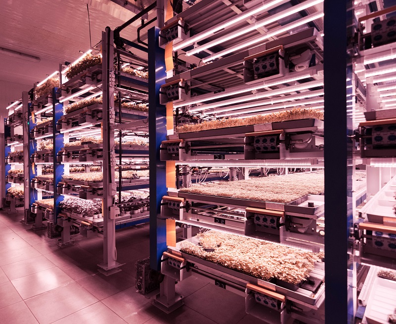 Green Corp takes a stake in Badia Farms to expand sustainable food ...