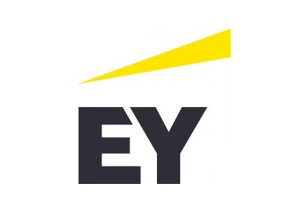 EY MENA expands consulting services with addition of The Collective ...