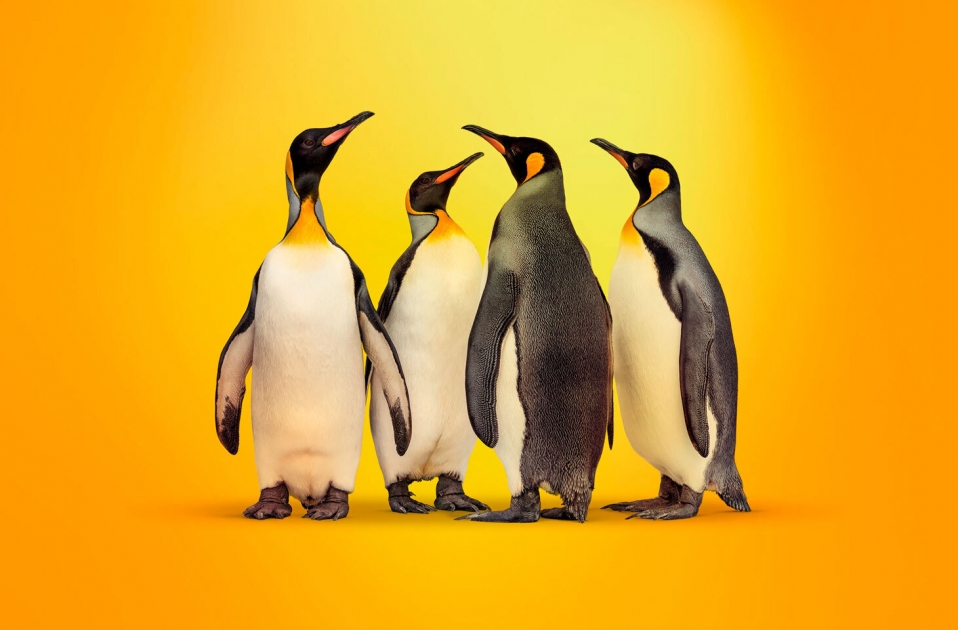 Kaspersky Launches Specialized Solution For Linux Based Embedded Devices Eye Of Riyadh