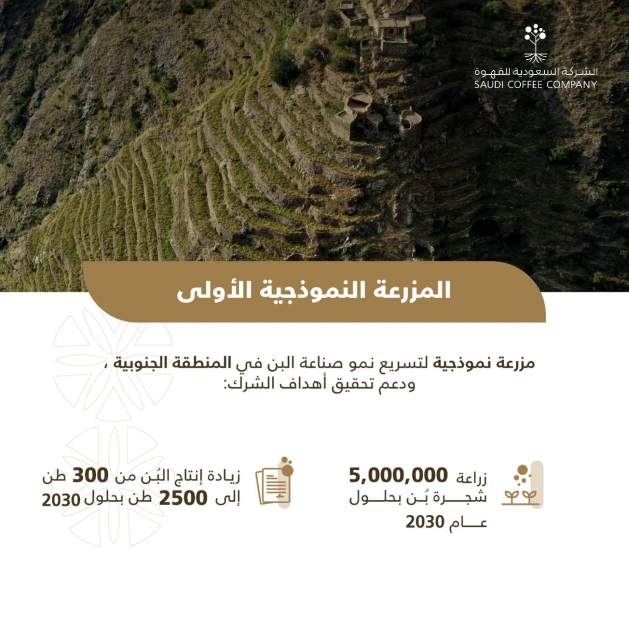 Saudi Coffee Company celebrates the launch of its first Model Farm in ...