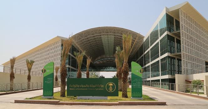 MEWA achieves self-sufficiency in some products, plans to start export ...