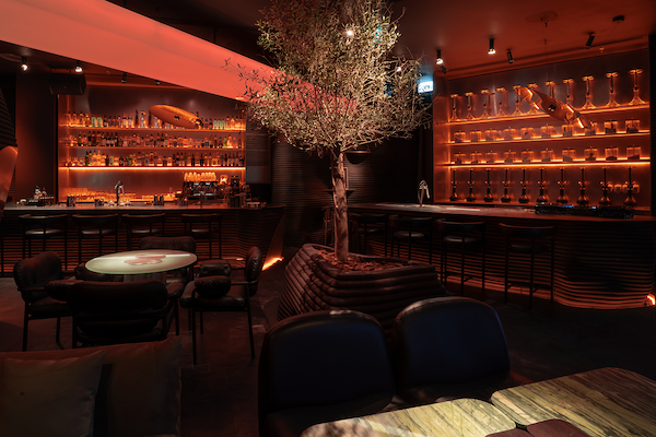 Myata Platinum Dubai City Walk Sets Guinness World Record for Largest ...